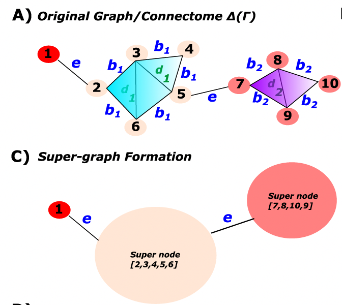 Homological Landscape Of Human Brain Functional Sub Circuits